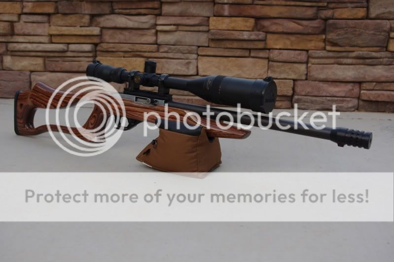 Raptor stocks | Rimfire Central Firearm Forum