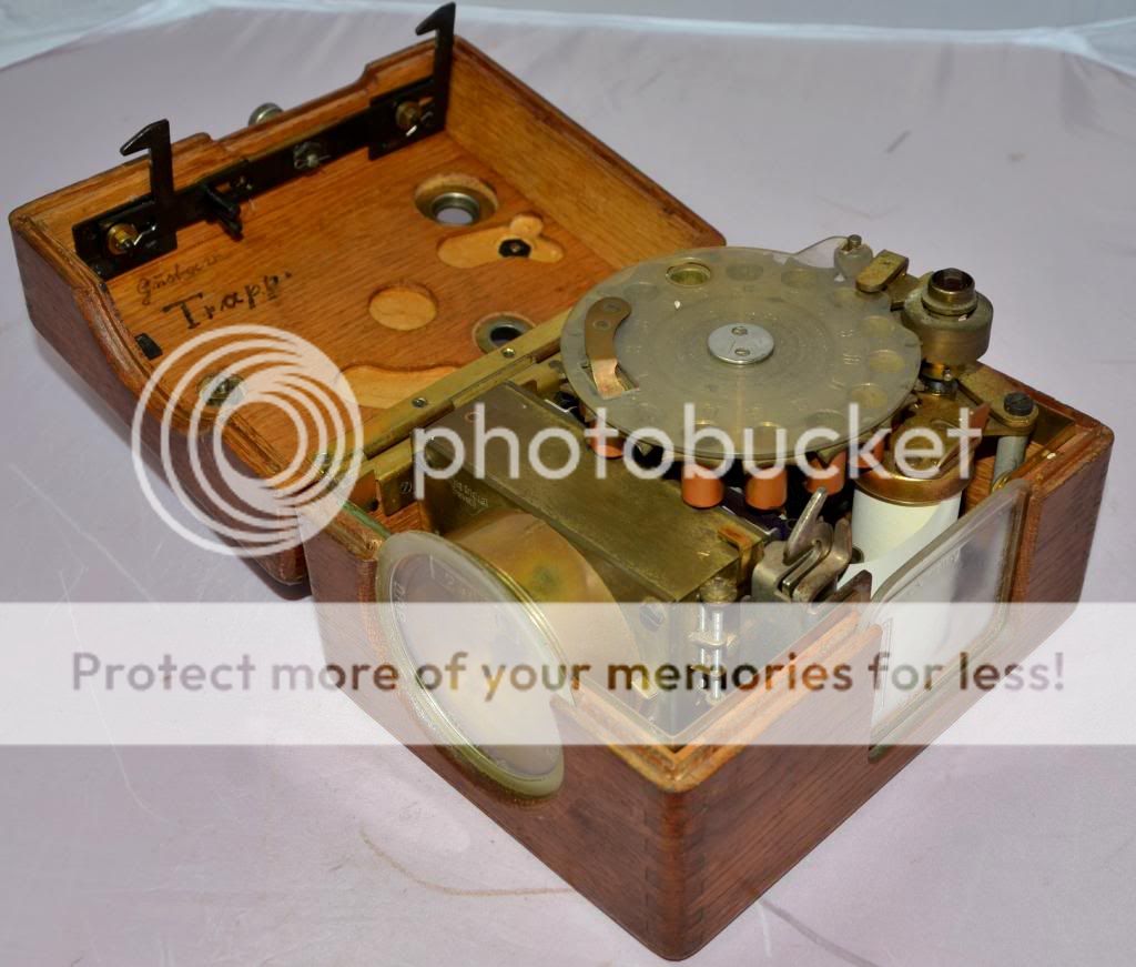 The art of pigeon racing : r/australia